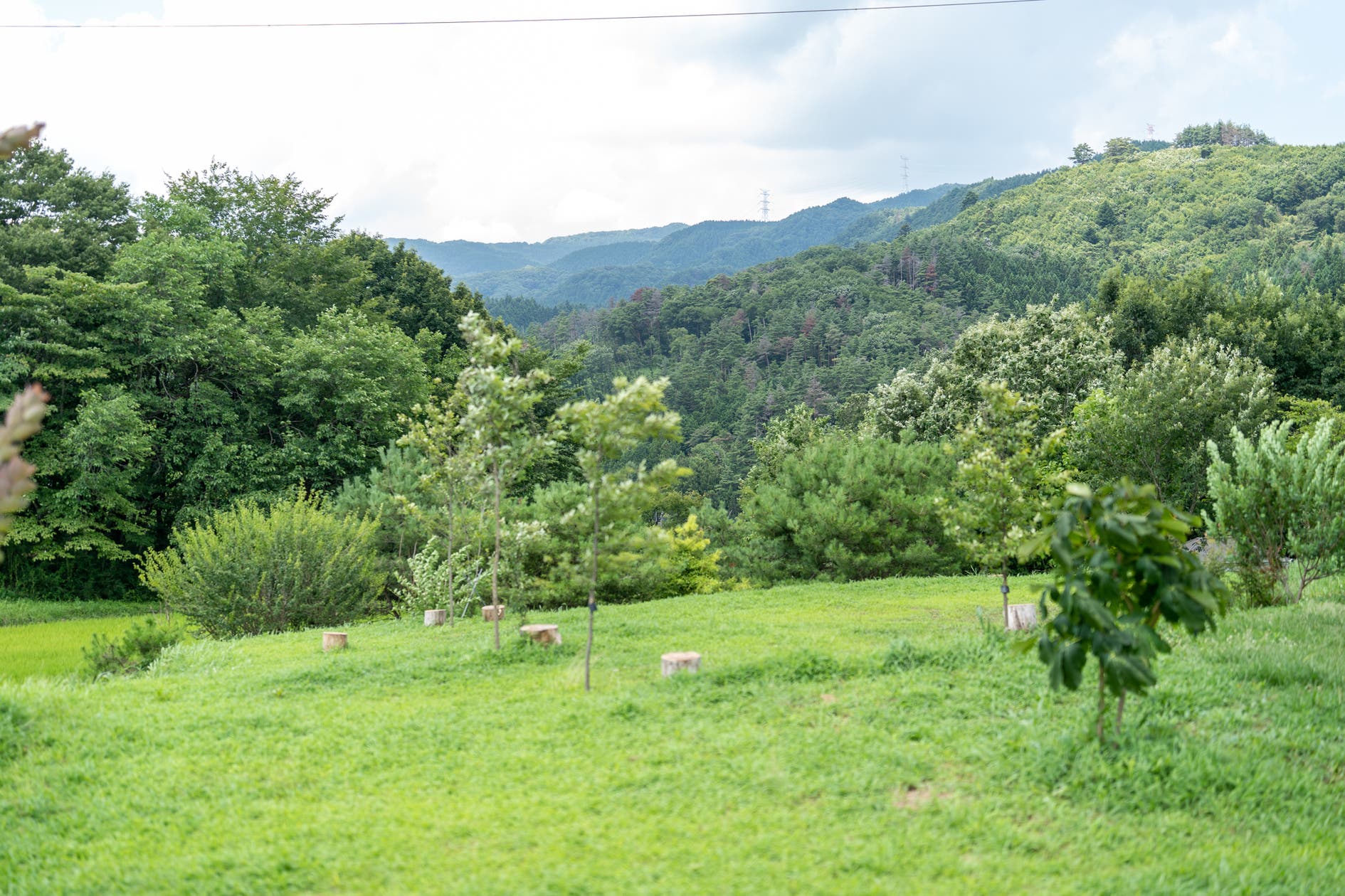 【ロケ撮影可】【ケータリング可】田んぼや森に囲まれた静かな2200坪の広々スペースを貸切の写真6