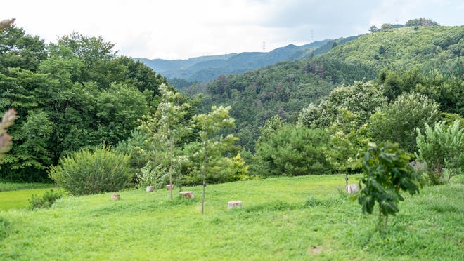 【ロケ撮影可】【ケータリング可】田んぼや森に囲まれた静かな2200坪の広々スペースを貸切の写真6