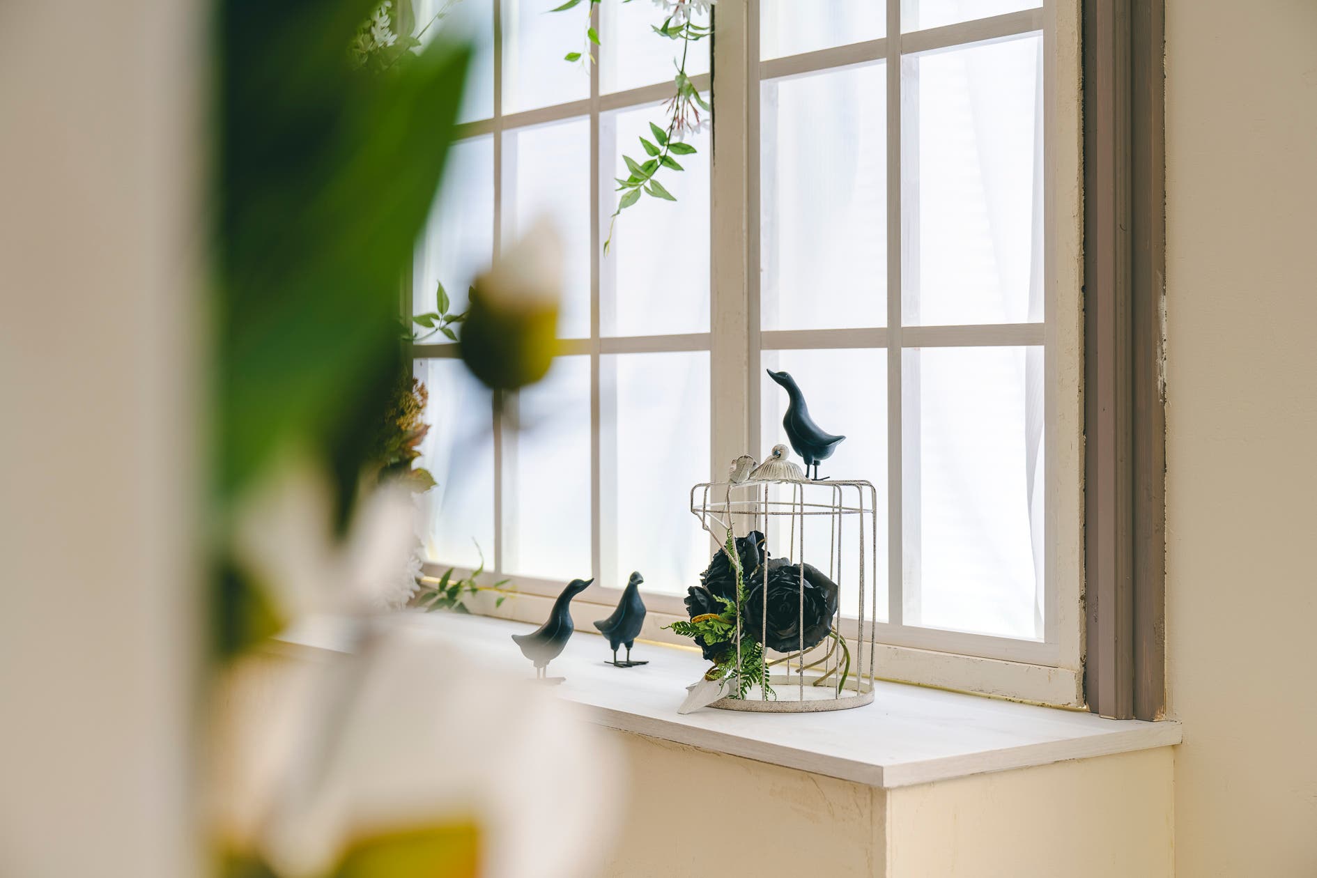 スペモ📷クリスマス🎄撮影機材🎥✨姿見🪞自然光🌞撮影📸コスプレ👗ポートレート✨468_S-Studio大久保2ndの写真20