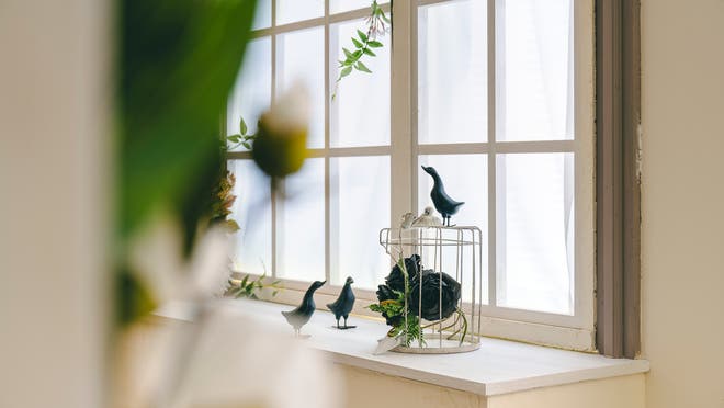 スペモ📷クリスマス🎄撮影機材🎥✨姿見🪞自然光🌞撮影📸コスプレ👗ポートレート✨468_S-Studio大久保2ndの写真20