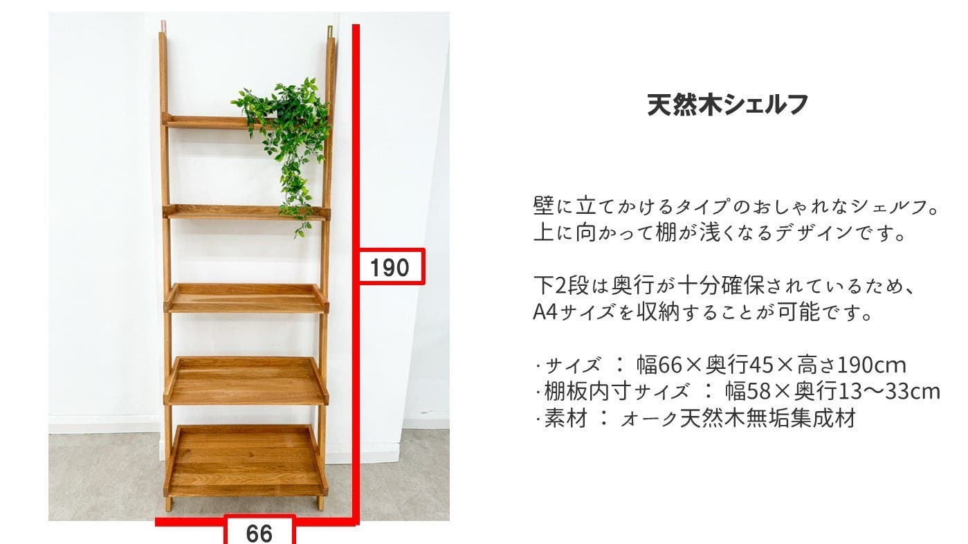 飯田橋駅2分｜自然光 × 二面採光 × アーチ × 白壁 × 植物｜24時間OK｜土足OKの写真15