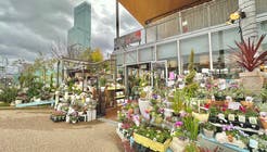 【多人数イベント可能】明るく開放的 駅チカてんしば公園内のガーデンセンター併設カフェの写真3