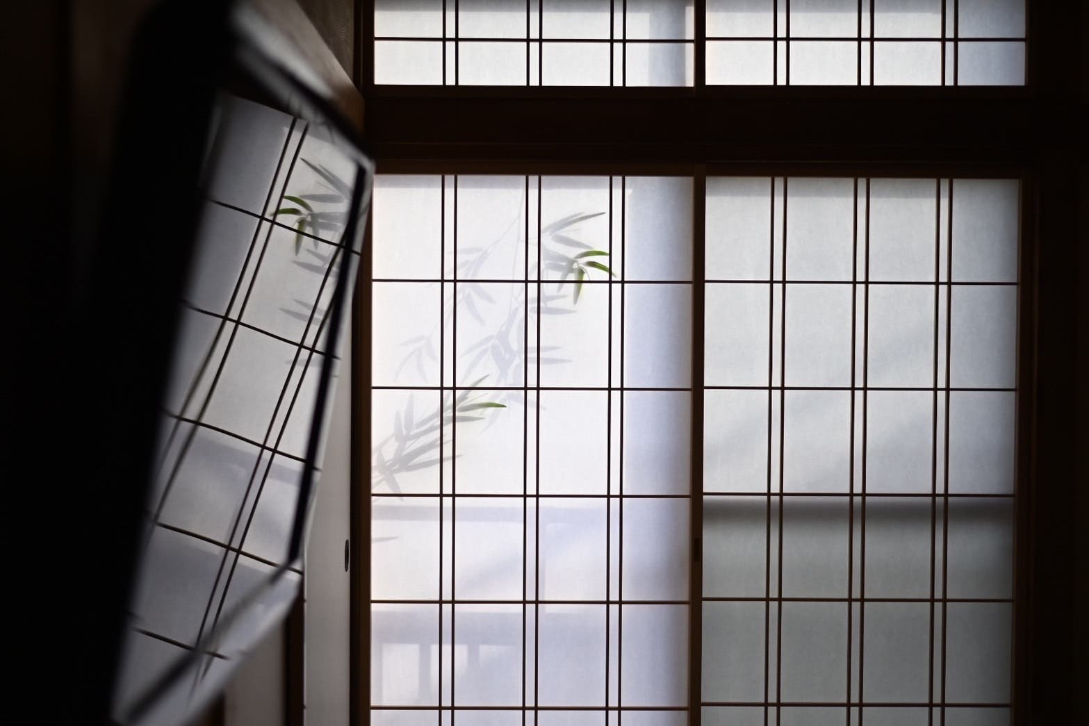 NEWオープン価格⭐︎1泊6万円の高級ヴィラ地下スペース◎コンクリート打ちっぱなし◎人気谷中エリア◎日暮里駅近徒歩5分内の写真6