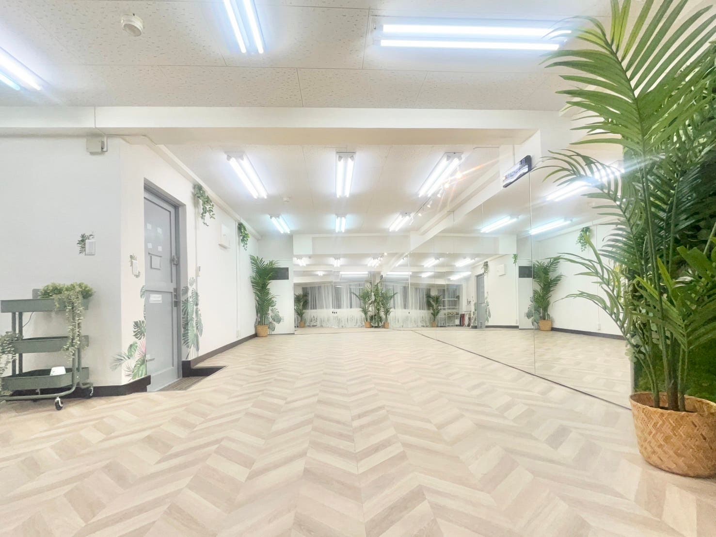 2月OPEN!【JR飯田橋1分】2面大型鏡計約9m／広々42㎡スタジオでポージング・ヨガ・ピラティス・演劇に☆振動の出るダンス✖の写真6