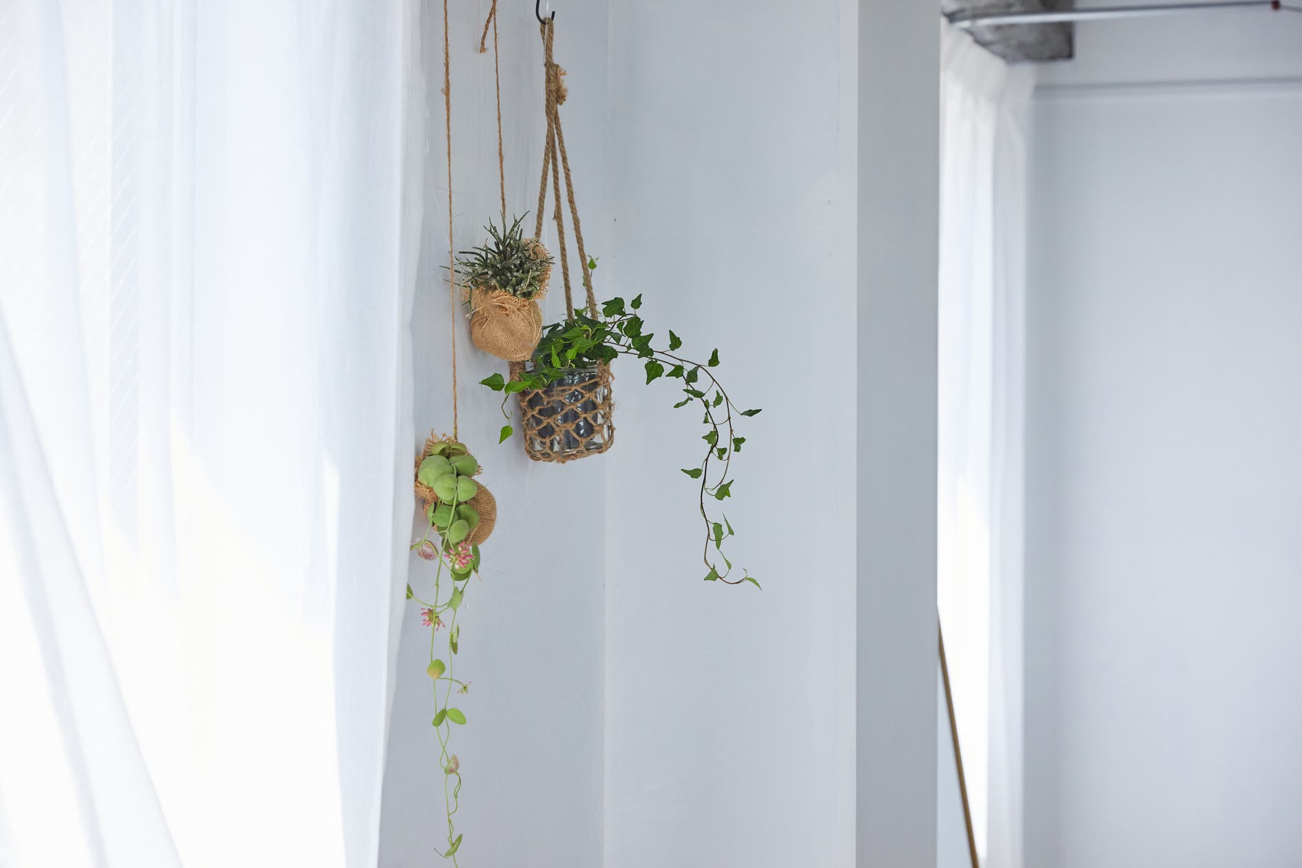 【上野駅8分】自然光あふれる白壁スタジオ｜家具小物＋機材無料／控室＆メイクルーム✨11月限定割✨の写真9