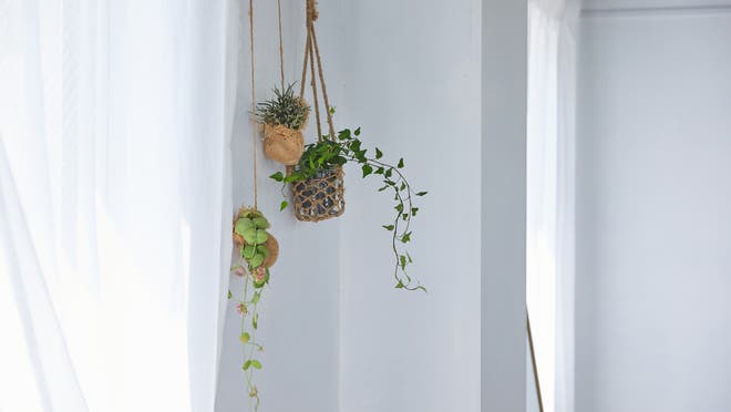 【上野駅8分】自然光あふれる白壁スタジオ|家具小物+機材無料/控室&メイクルーム✨11月限定割✨の写真9