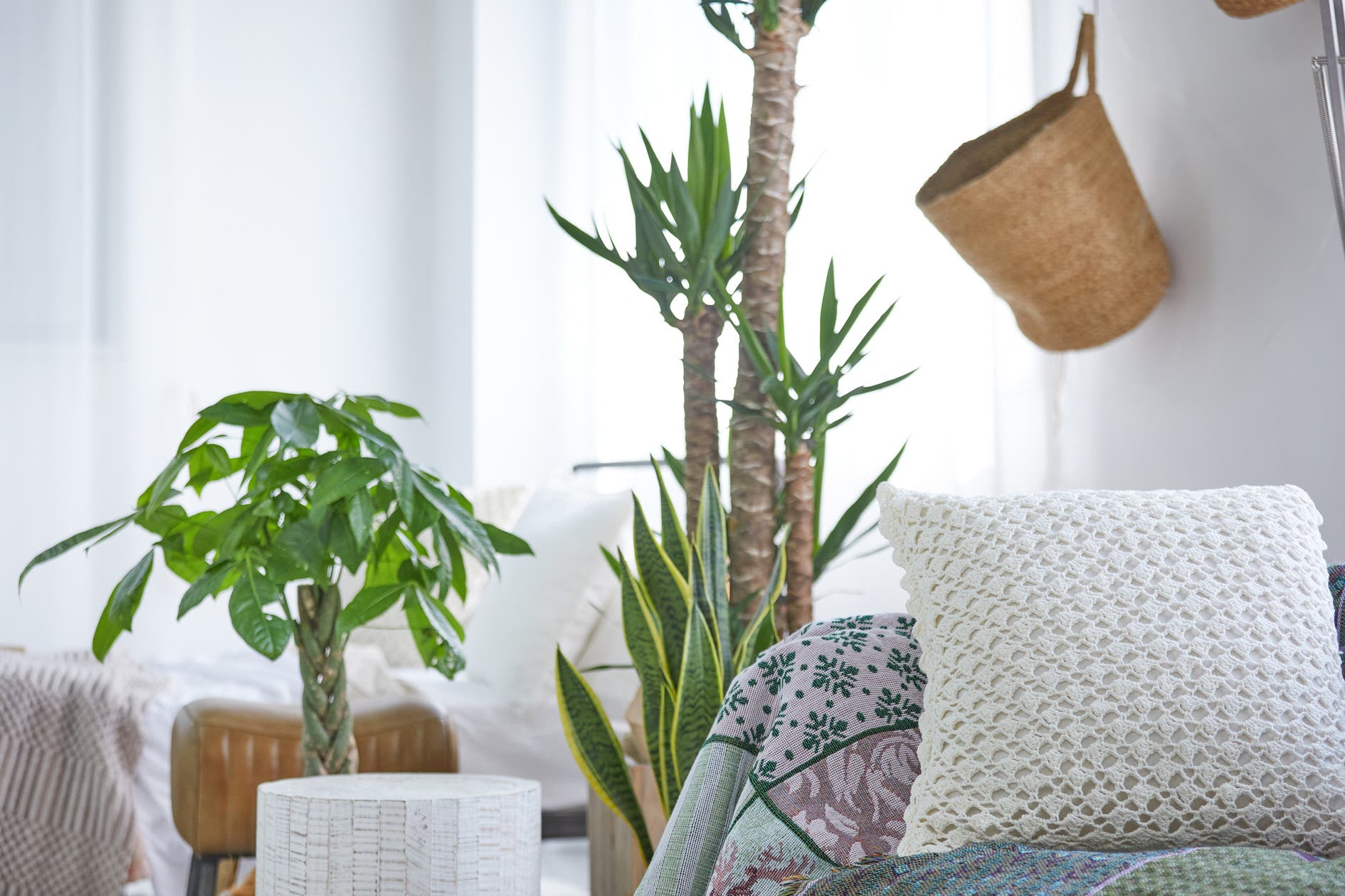 【上野駅8分】自然光あふれる白壁スタジオ｜家具小物＋機材無料／控室＆メイクルーム✨11月限定割✨の写真10