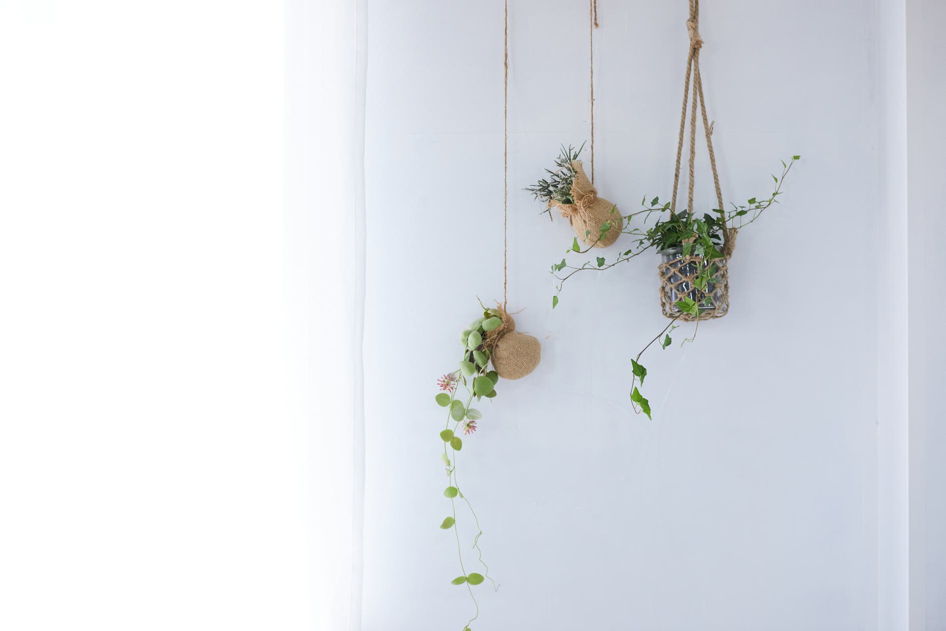 【上野駅8分】自然光あふれる白壁スタジオ｜家具小物＋機材無料／控室＆メイクルーム✨11月限定割✨の写真11