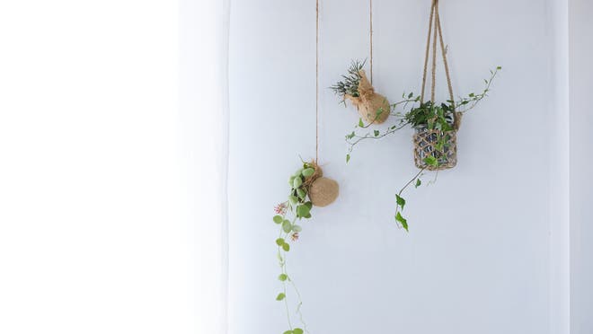 【上野駅8分】自然光あふれる白壁スタジオ|家具小物+機材無料/控室&メイクルーム✨11月限定割✨の写真11