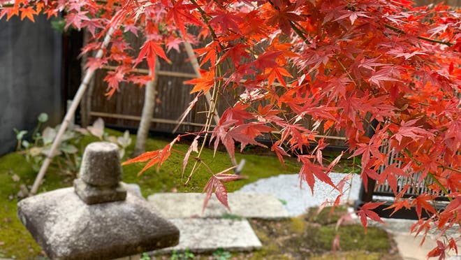 【和室】駅から徒歩5分!お庭つき和室で写真撮影|ポートレート|コスプレ|推し活|お茶会の写真9