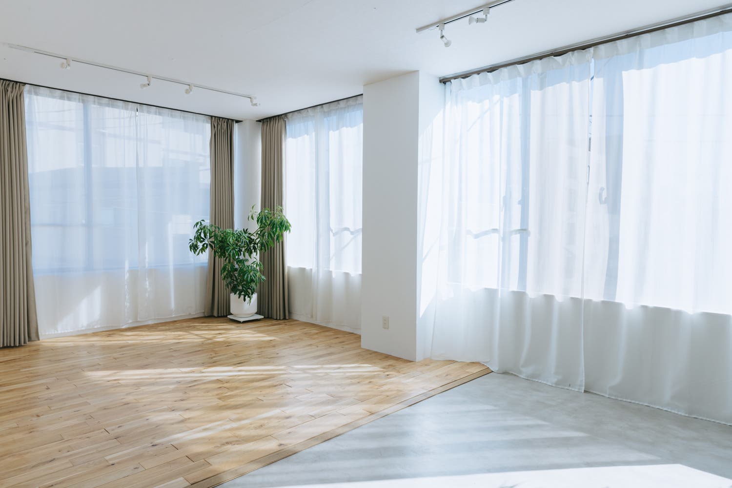 【 無料機材も充実 】 南向き窓で柔らかい自然光・白壁・モルタル床・奥行き8m ・清潔【駅近！大田区馬込駅2分】の写真4