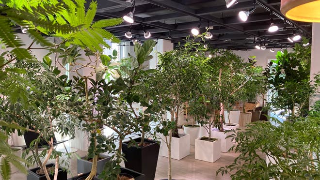 日本を代表するデザイナーが手がけた多数の建築専門誌にも掲載されている植物店の空間をそのまま利用できますの写真1