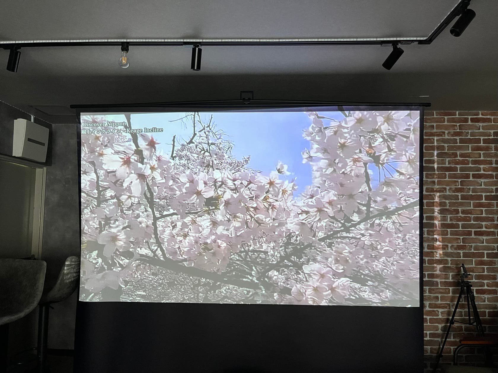 🌸令和６年３月オープン🌸新宿御苑前駅徒歩１分🚶‍♀️会議✨イベント✨懇親会✨撮影✨の写真15