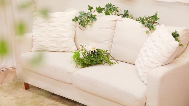 最大25名🎉秋葉原上野から一駅🚶♂️大通り沿い1フロア1テナント🏢120インチの大画面で推し活🧸映えスペース🧸の写真9