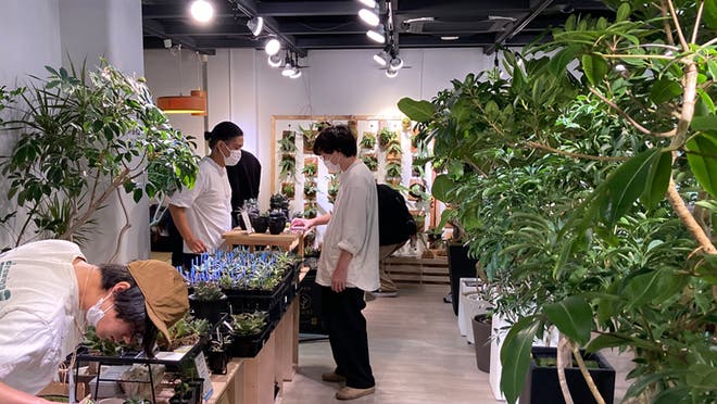 日本を代表するデザイナーが手がけた多数の建築専門誌にも掲載されている植物店の空間をそのまま利用できますの写真4