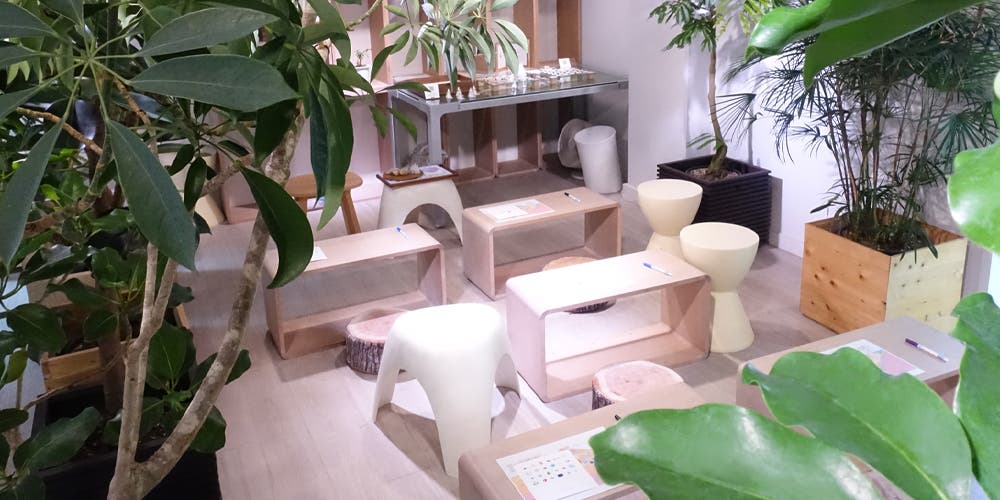 日本を代表するデザイナーが手がけた多数の建築専門誌にも掲載されている植物店の空間をそのまま利用できますの写真5