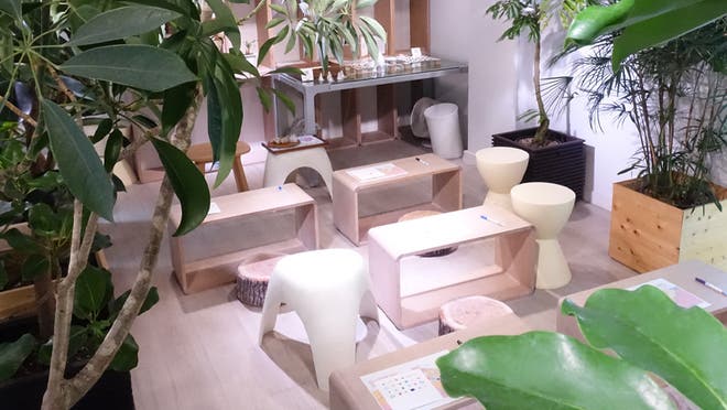 日本を代表するデザイナーが手がけた多数の建築専門誌にも掲載されている植物店の空間をそのまま利用できますの写真5