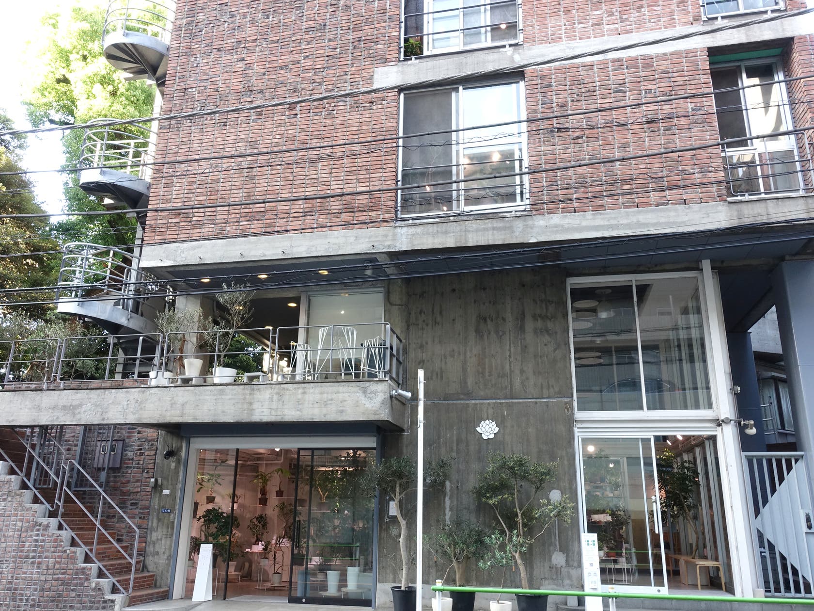 日本を代表するデザイナーが手がけた多数の建築専門誌にも掲載されている植物店の空間をそのまま利用できますの写真6