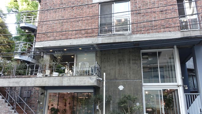 日本を代表するデザイナーが手がけた多数の建築専門誌にも掲載されている植物店の空間をそのまま利用できますの写真6