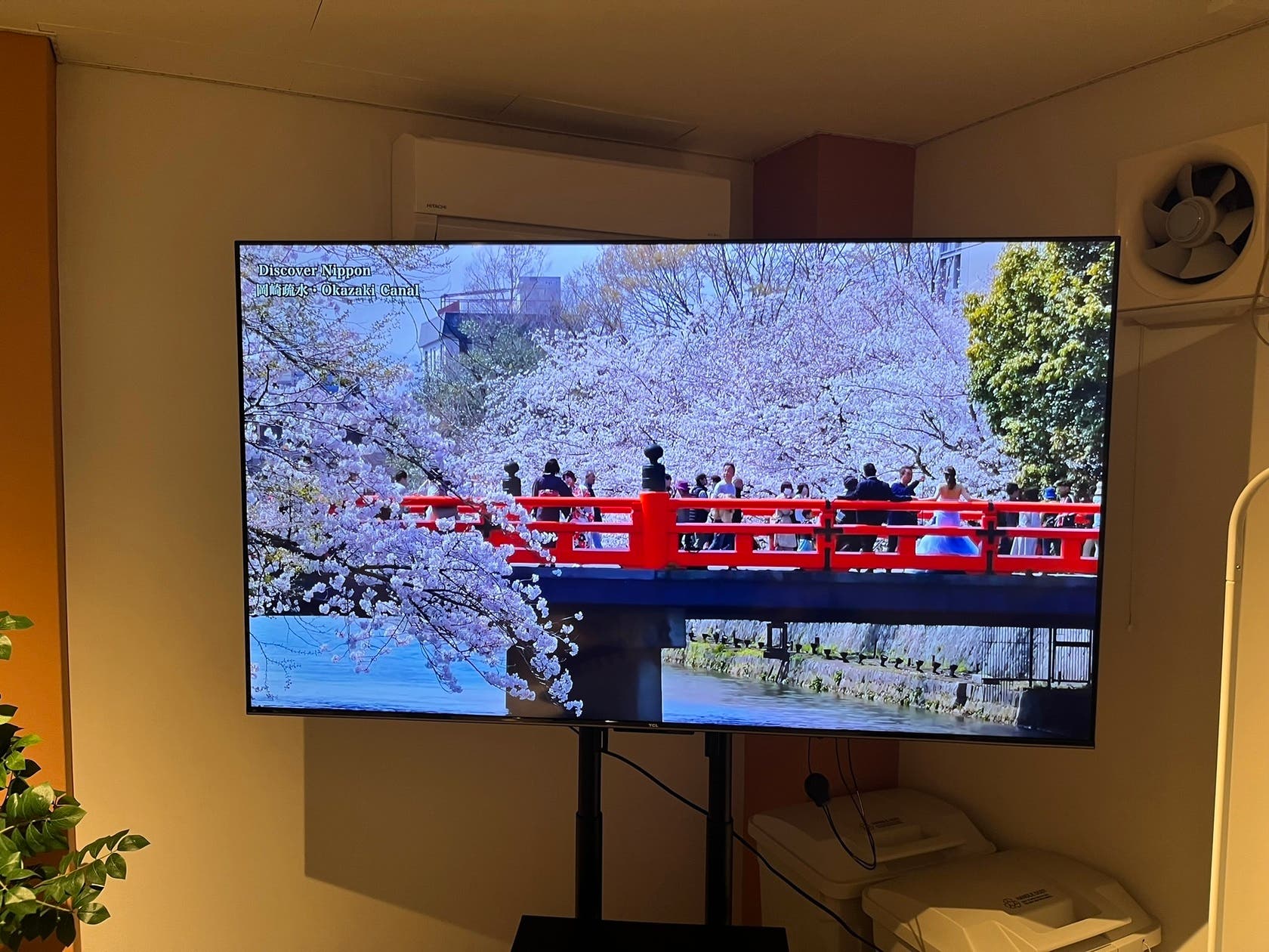 🌸令和６年３月オープン🌸新宿御苑前駅徒歩１分🚶‍♀️会議✨イベント✨女子会✨撮影✨の写真13