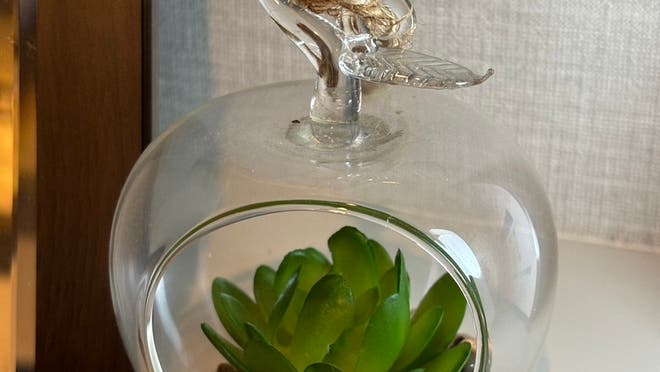 【西荻窪駅の目の前】プロ仕様電動昇降ベッド鍼灸・整体・エステ等・初心者も歓迎!の写真22