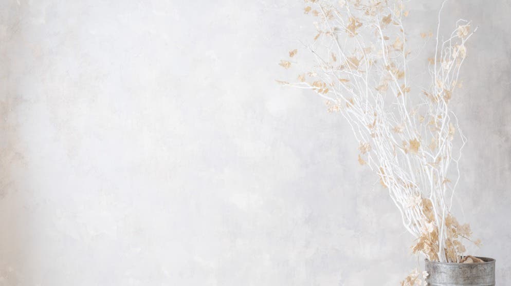 【南青山スタジオ】フォトスタジオが運営する多目的なレンタルスペースの写真5