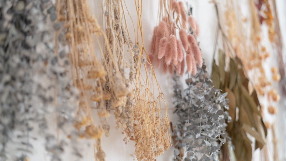 【南青山スタジオ】フォトスタジオが運営する多目的なレンタルスペースの写真8