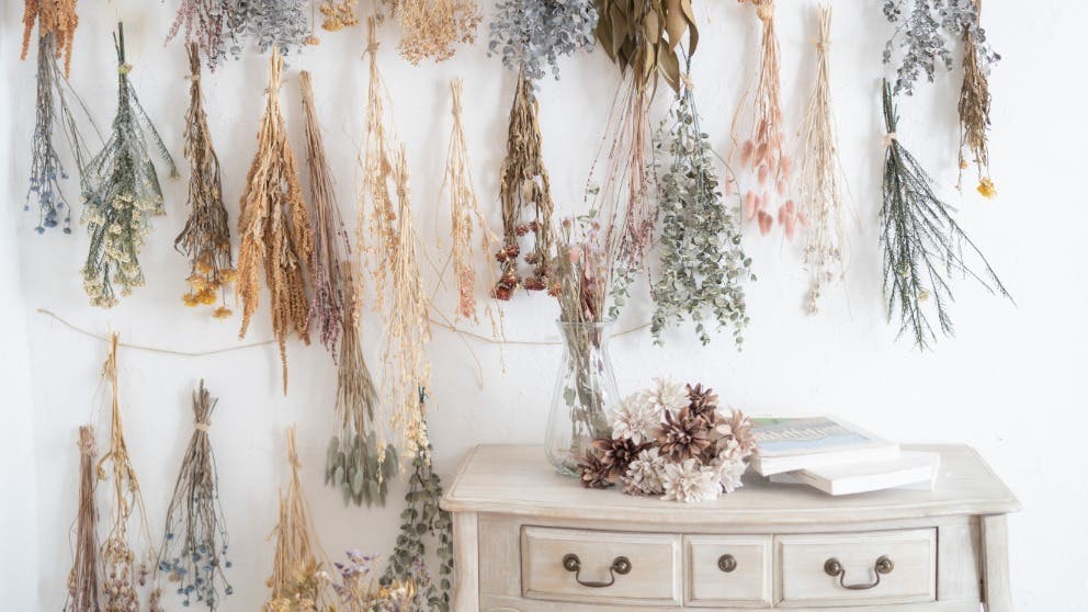 【南青山スタジオ】フォトスタジオが運営する多目的なレンタルスペースの写真9