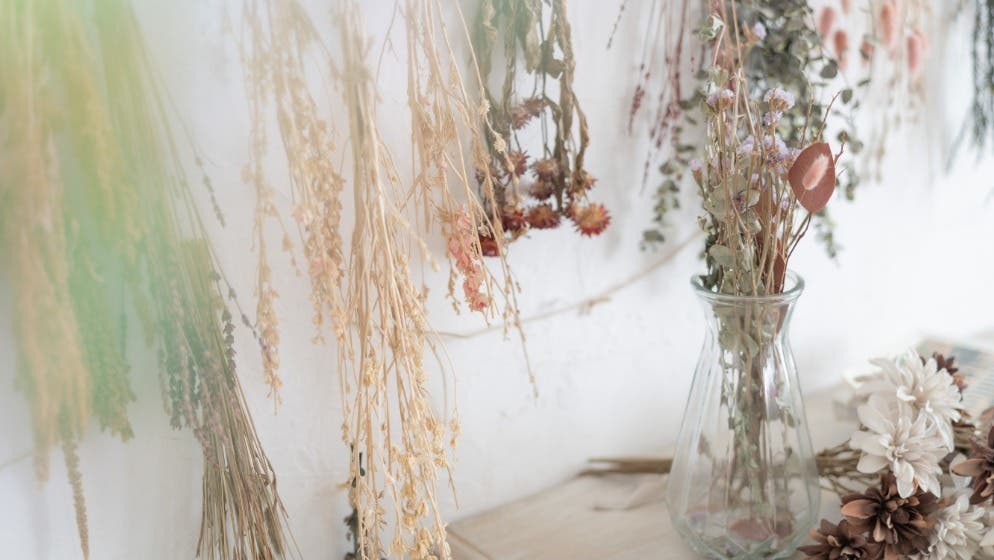 【南青山スタジオ】フォトスタジオが運営する多目的なレンタルスペースの写真10