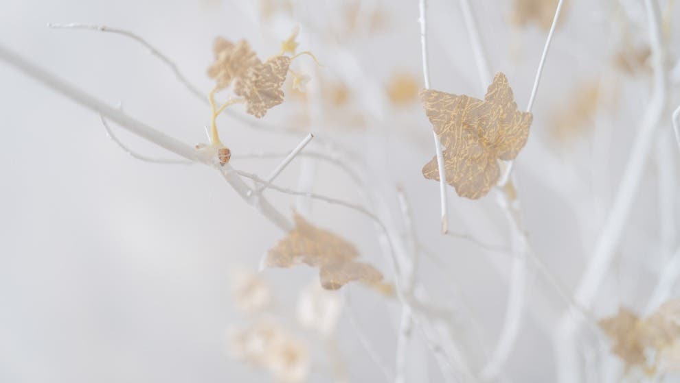 【南青山スタジオ】フォトスタジオが運営する多目的なレンタルスペースの写真11