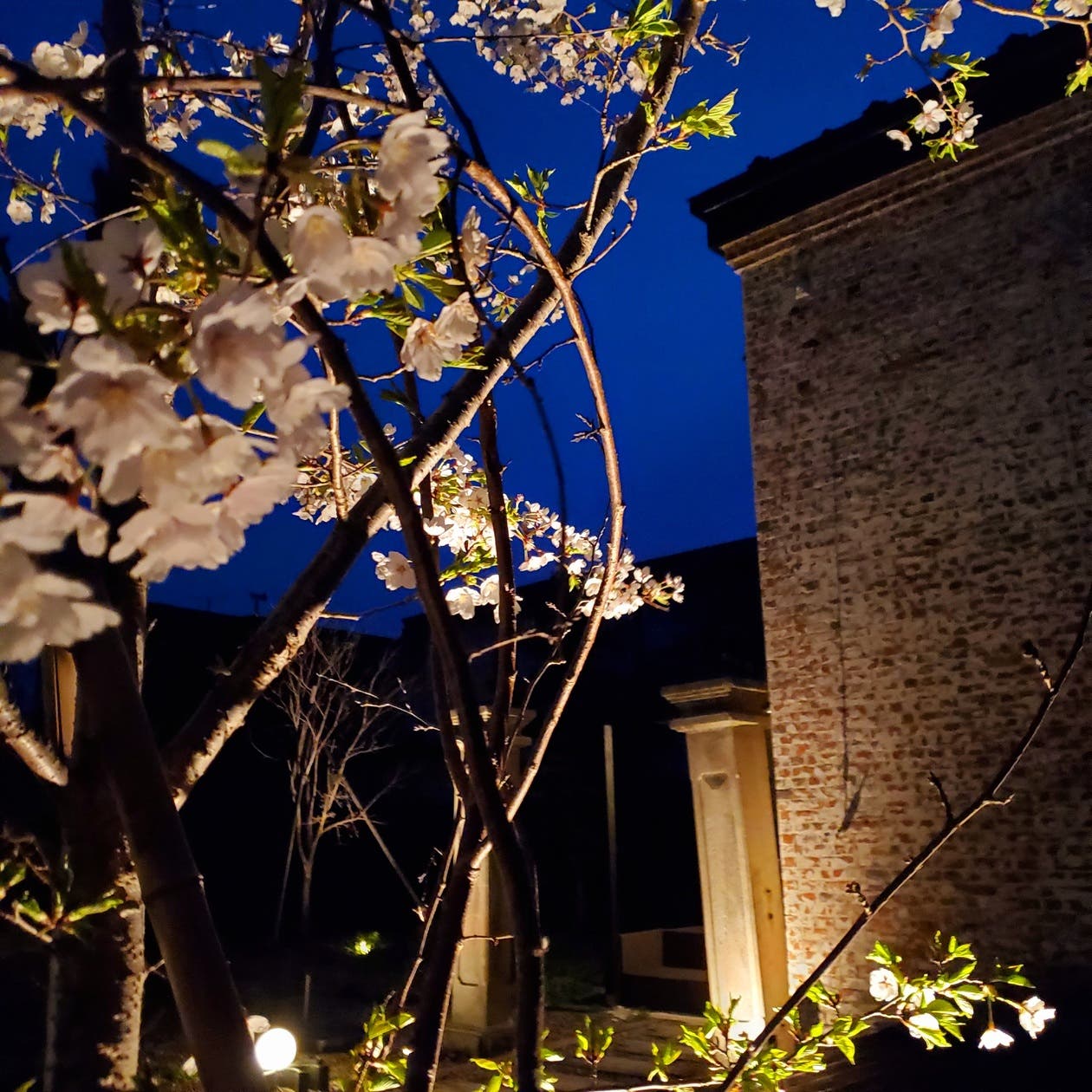 明治時代のレンガ造の建物を、モダンな雰囲気にフルリノベーション！商業撮影・ロケ地の写真26