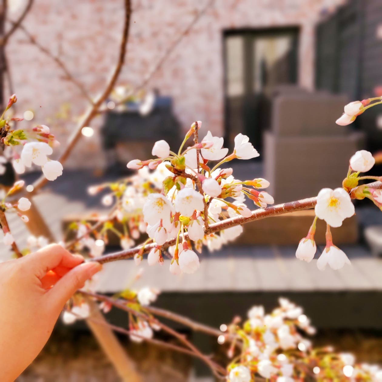 明治時代のレンガ造の建物を、モダンな雰囲気にフルリノベーション！商業撮影・ロケ地の写真27