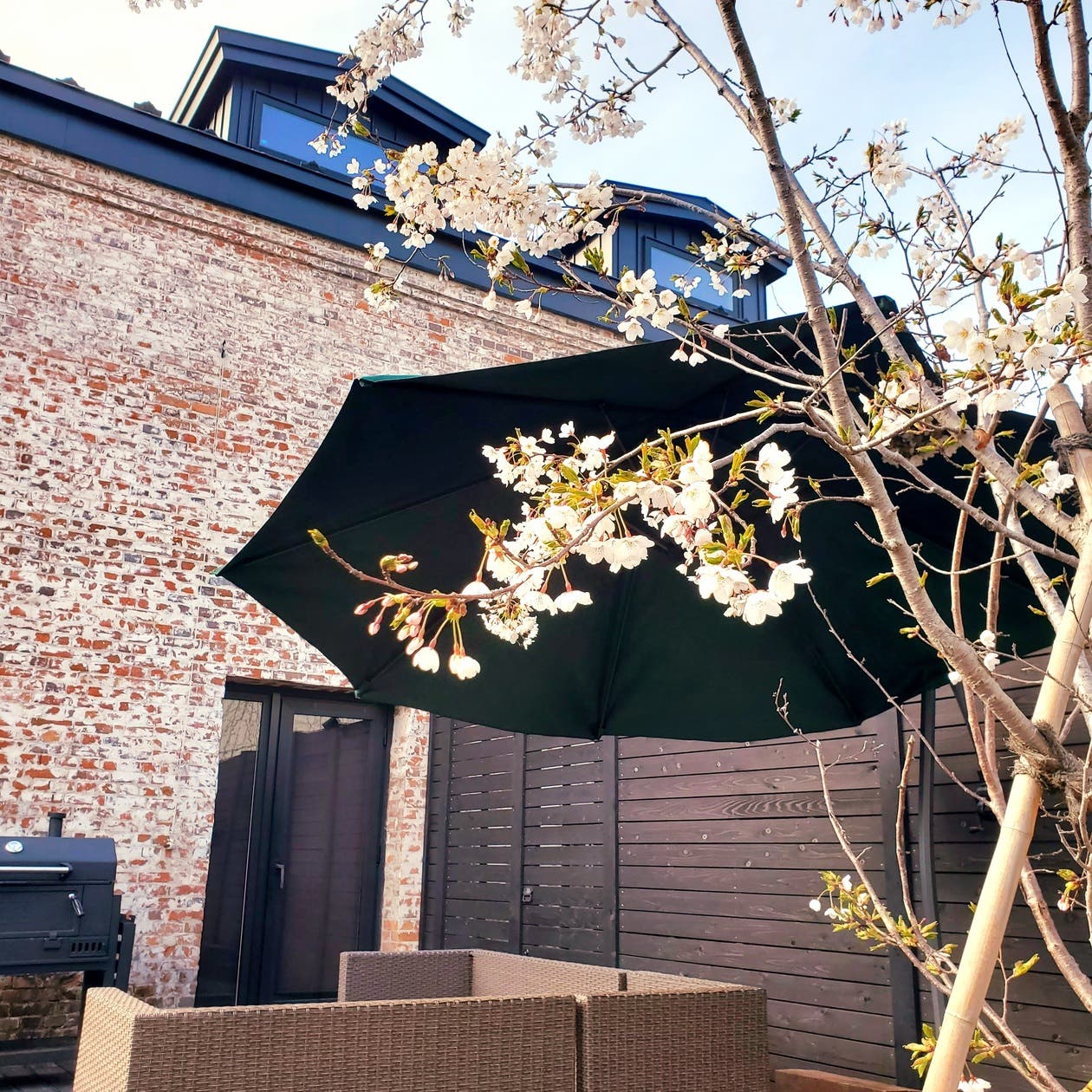 明治時代のレンガ造の建物を、モダンな雰囲気にフルリノベーション！商業撮影・ロケ地の写真28