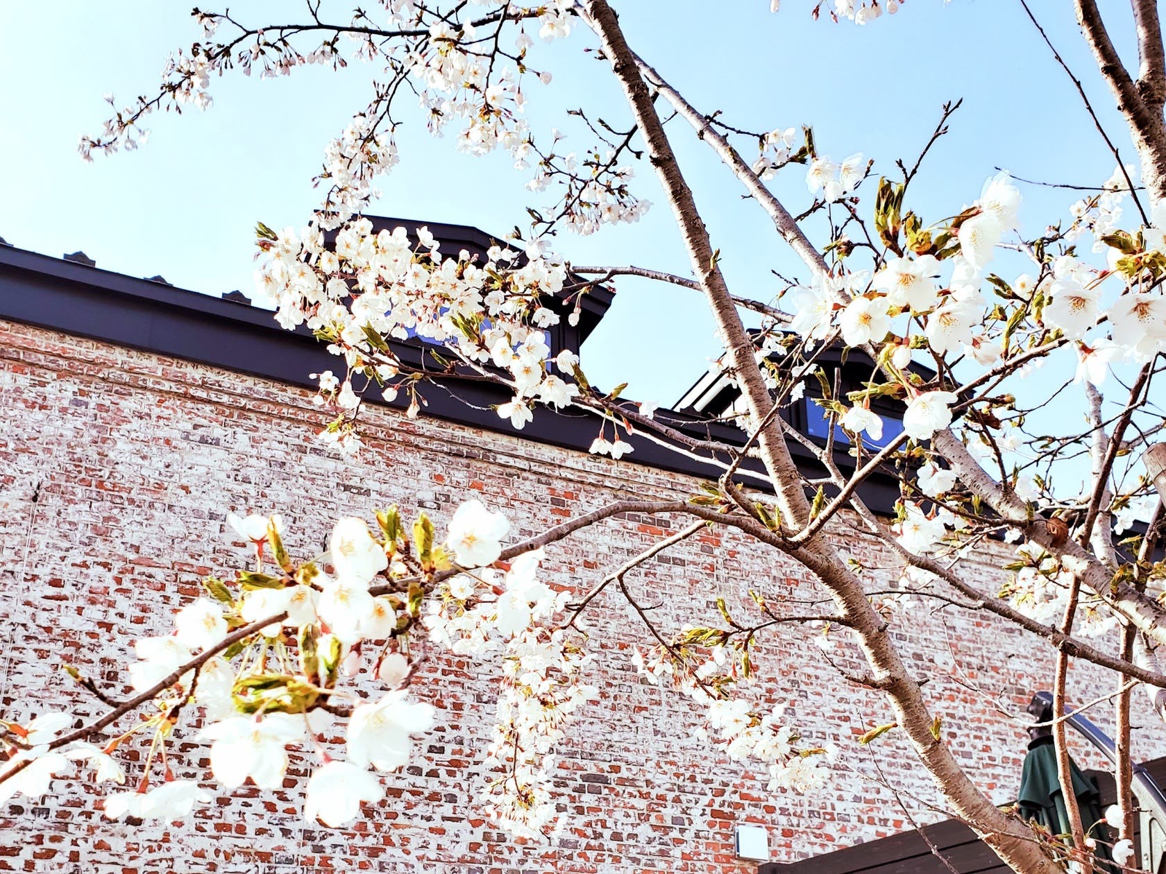 明治時代のレンガ造の建物を、モダンな雰囲気にフルリノベーション！商業撮影・ロケ地の写真29