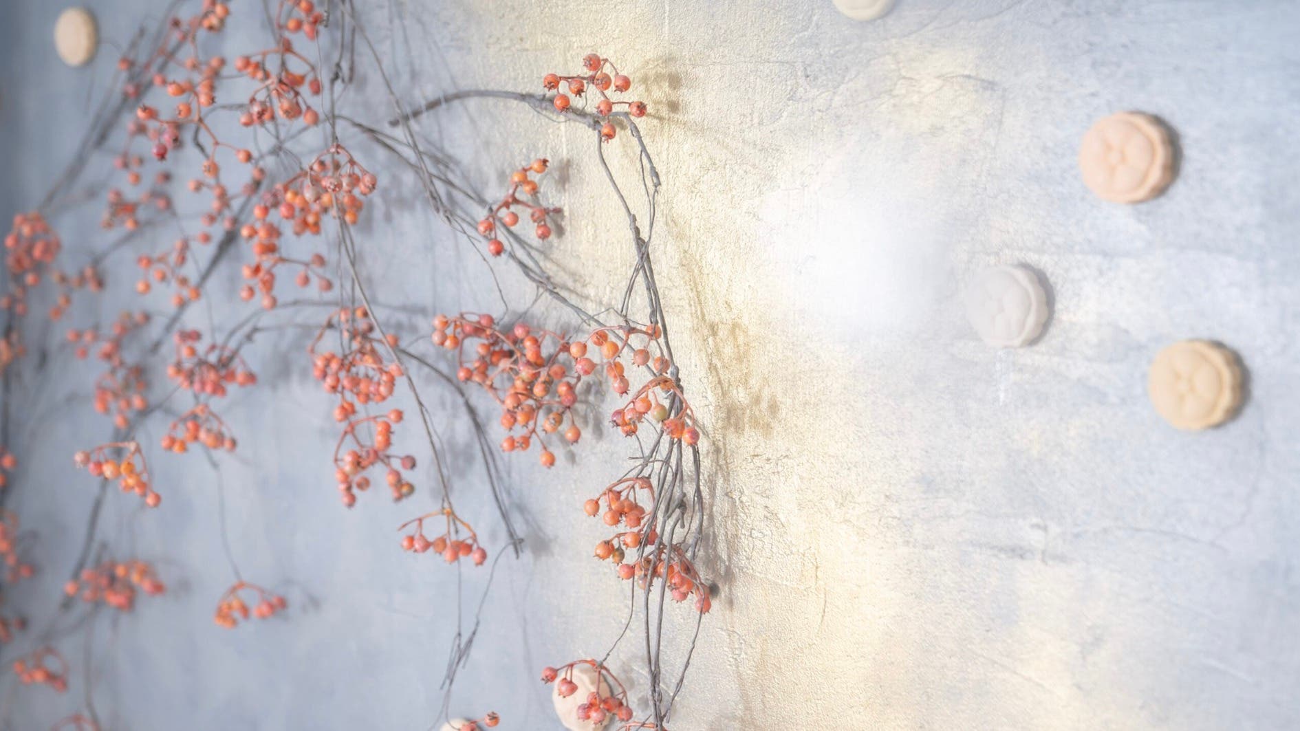 【高崎スタジオ】フォトスタジオが運営する多目的なレンタルスペースの写真6