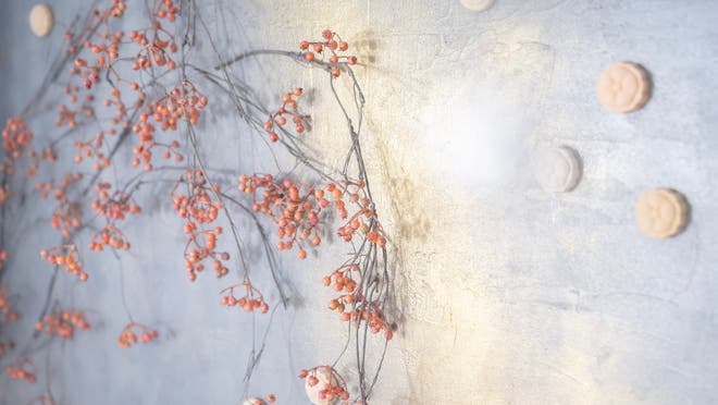 【高崎スタジオ】フォトスタジオが運営する多目的なレンタルスペースの写真6