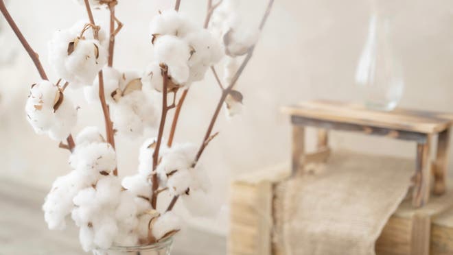 【前橋スタジオ】フォトスタジオが運営する多目的なレンタルスペースの写真2