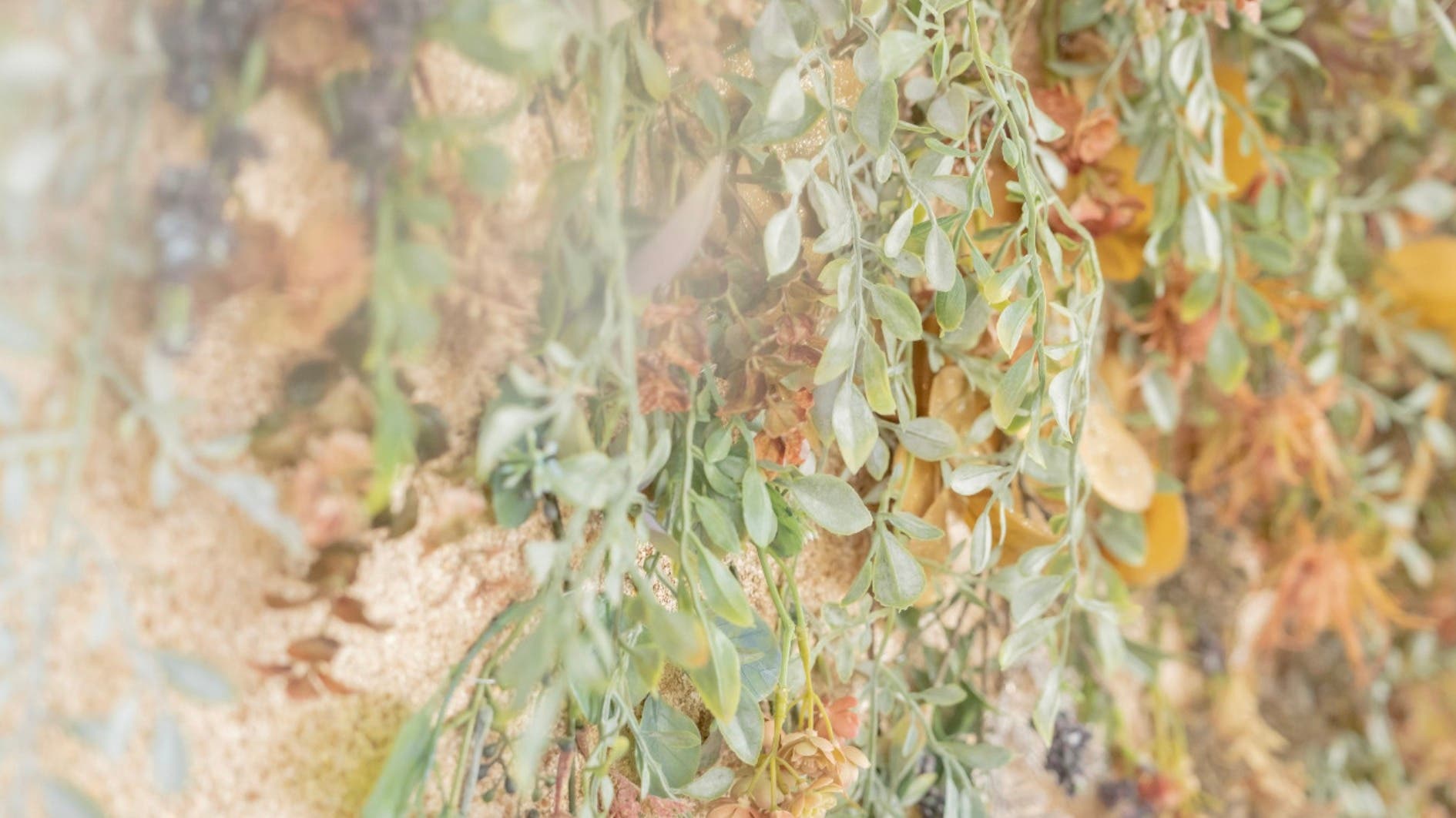 【前橋スタジオ】フォトスタジオが運営する多目的なレンタルスペースの写真7