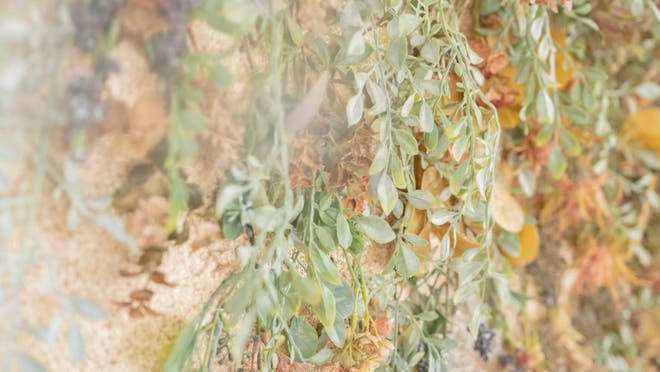 【前橋スタジオ】フォトスタジオが運営する多目的なレンタルスペースの写真7