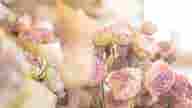 【戸越銀座スタジオ】フォトスタジオが運営する多目的なレンタルスペースの写真2