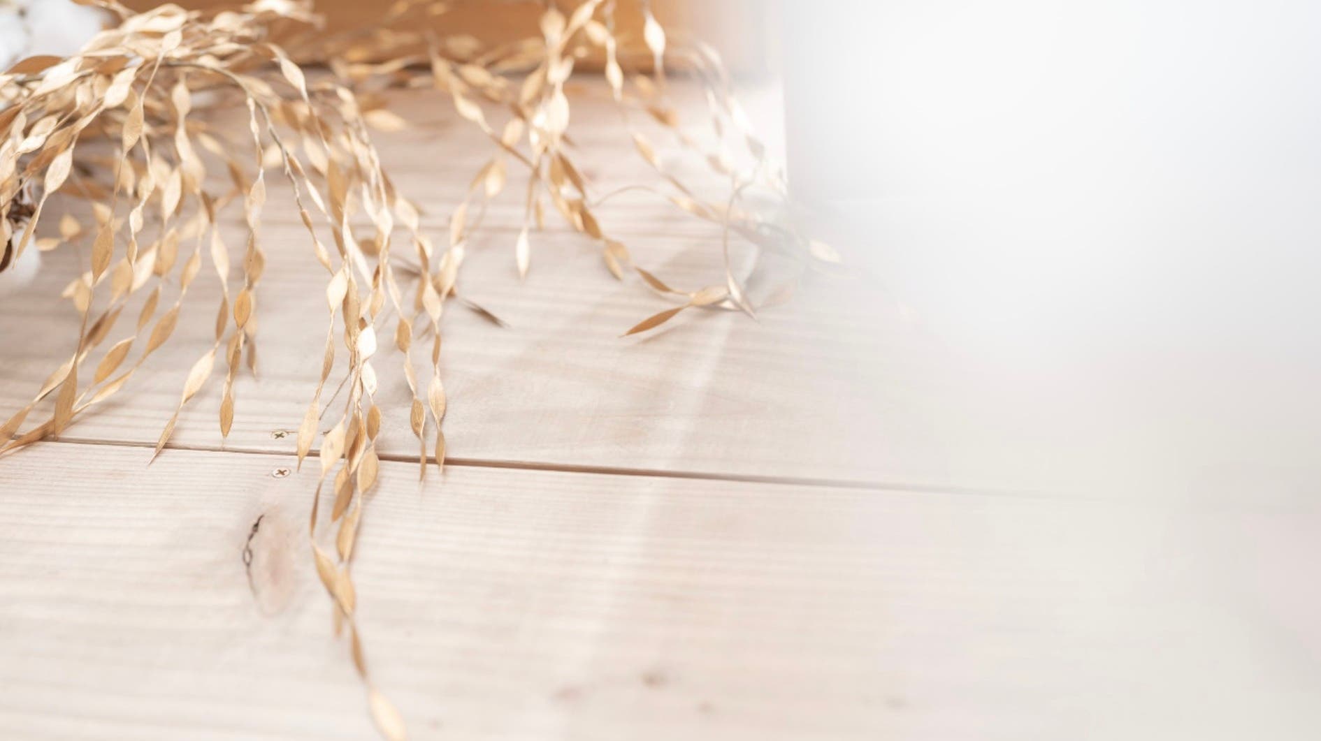 【浅草蔵前スタジオ】フォトスタジオが運営する多目的なレンタルスペースの写真9