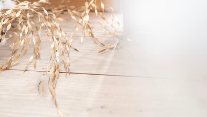 【浅草蔵前スタジオ】フォトスタジオが運営する多目的なレンタルスペースの写真9