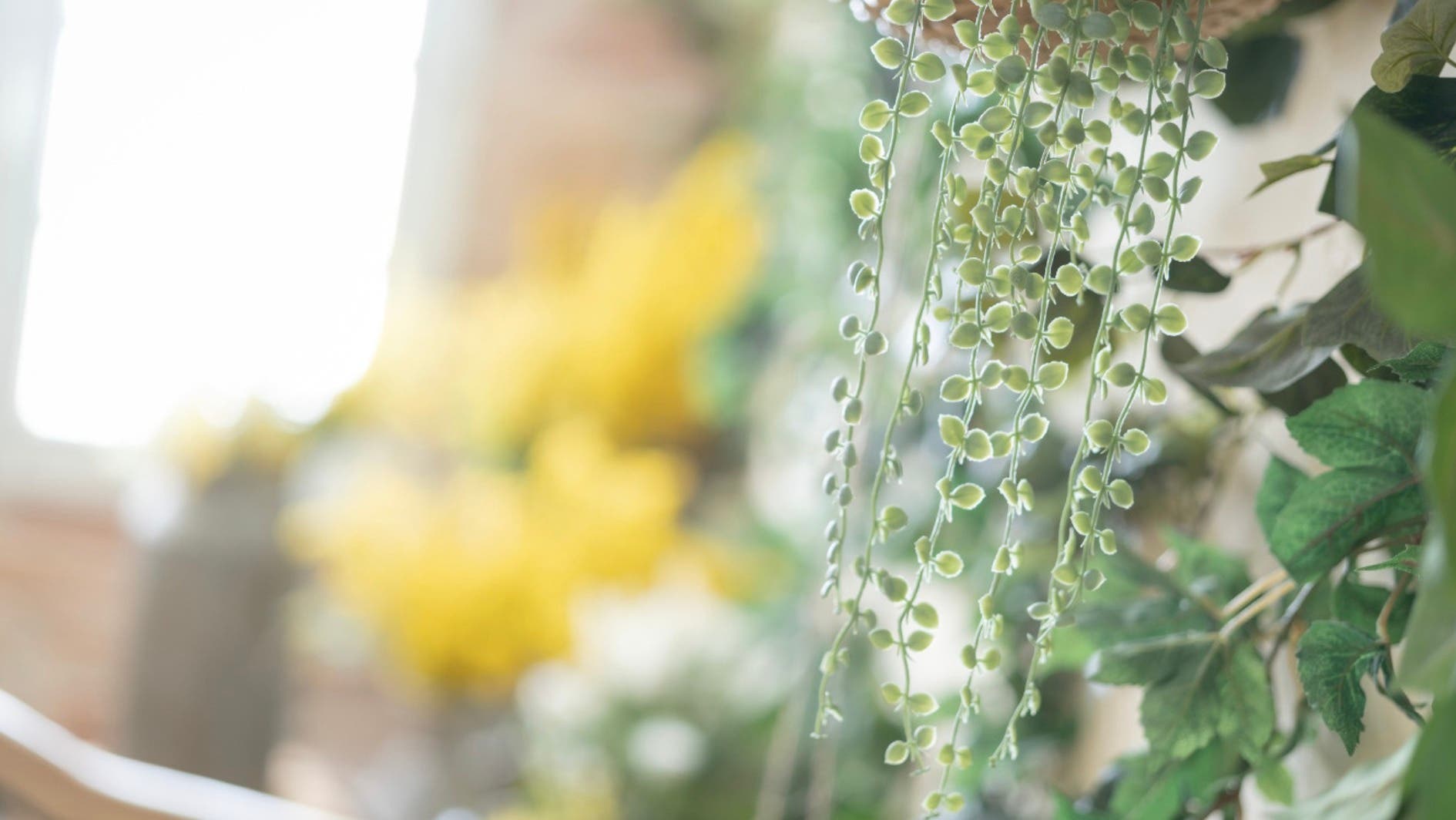 【品川シーサイドスタジオ】フォトスタジオが運営する多目的なレンタルスペースの写真8