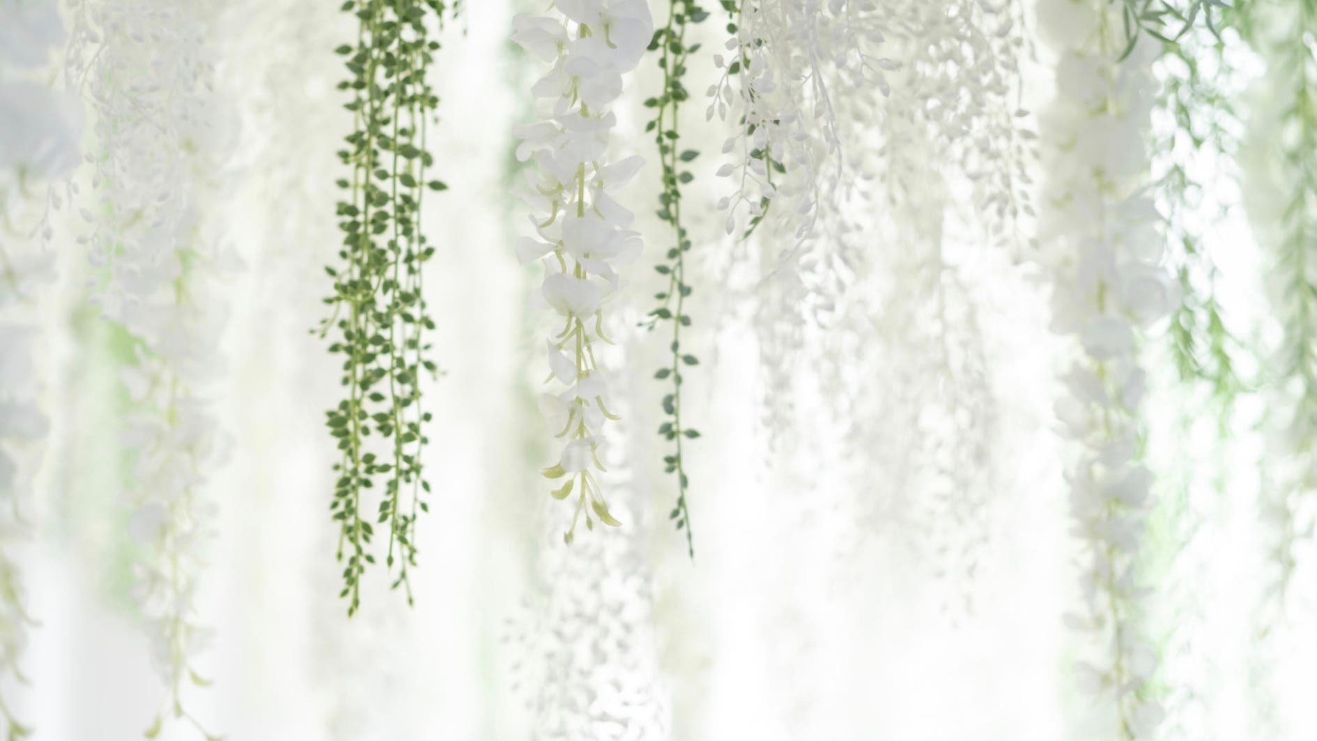 【品川シーサイドスタジオ】フォトスタジオが運営する多目的なレンタルスペースの写真9