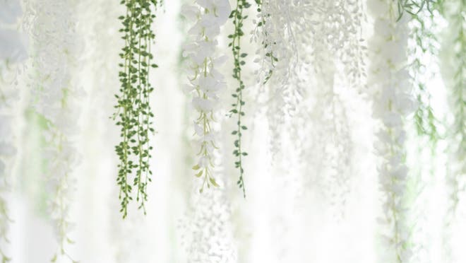 【品川シーサイドスタジオ】フォトスタジオが運営する多目的なレンタルスペースの写真9