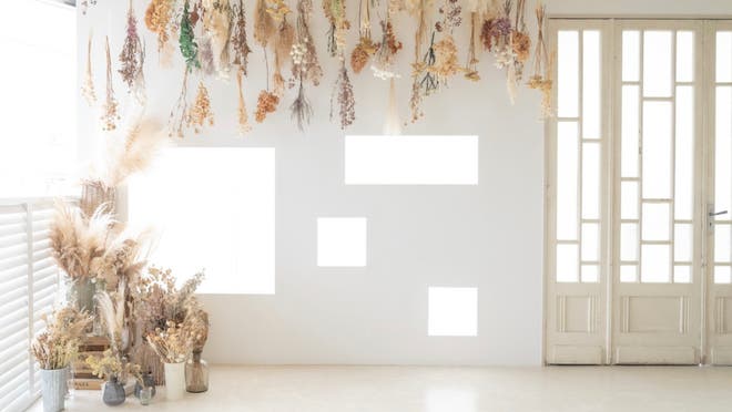 【多摩稲城スタジオ】フォトスタジオが運営する多目的なレンタルスペースの写真1