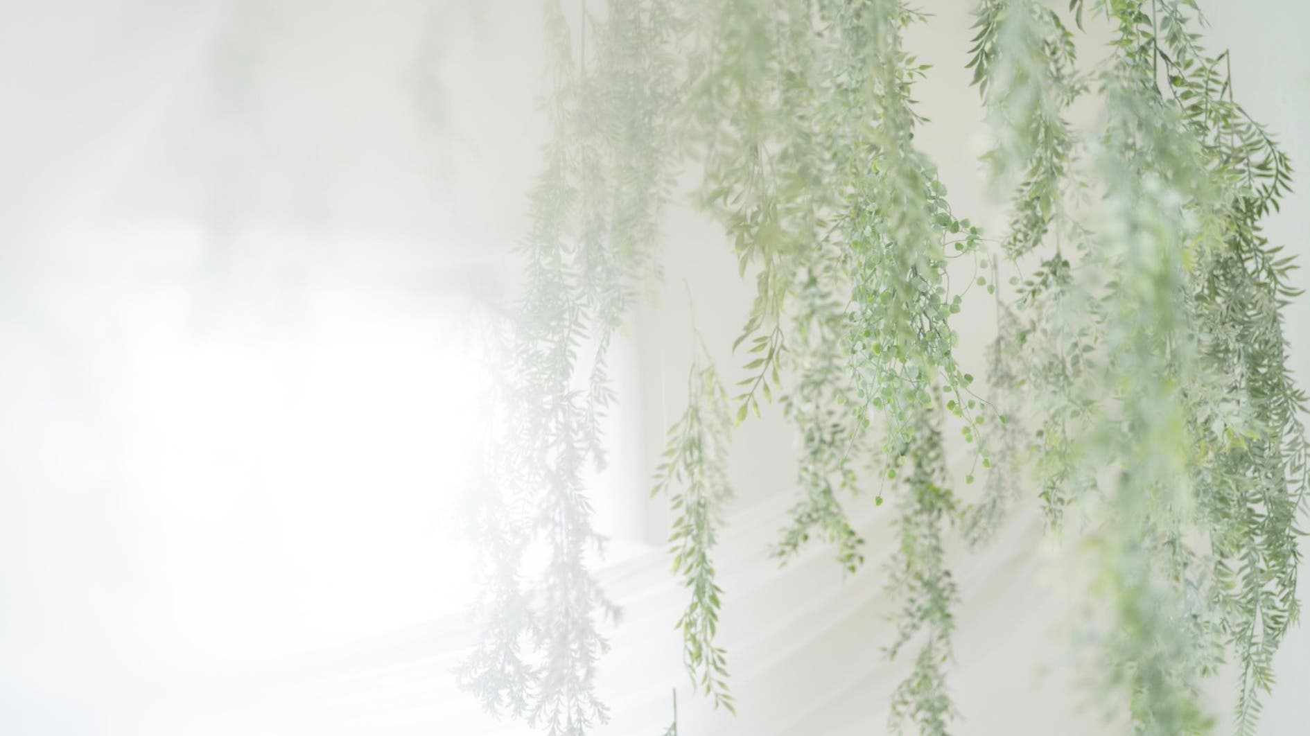 【鎌倉大船スタジオ】フォトスタジオが運営する多目的なレンタルスペースの写真9