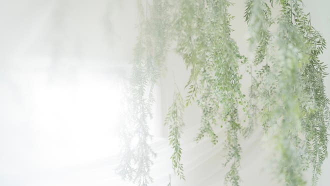 【鎌倉大船スタジオ】フォトスタジオが運営する多目的なレンタルスペースの写真9