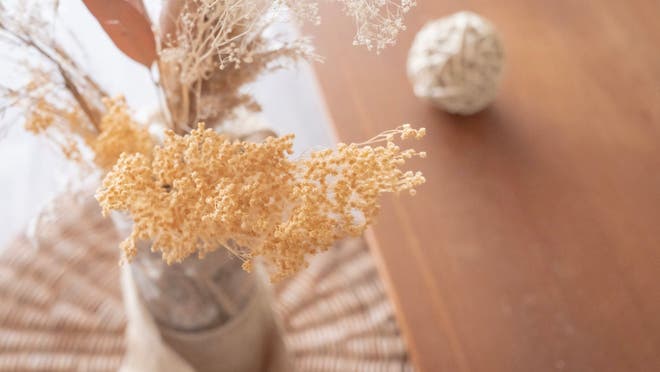 【西宮スタジオ】フォトスタジオが運営する多目的なレンタルスペースの写真8