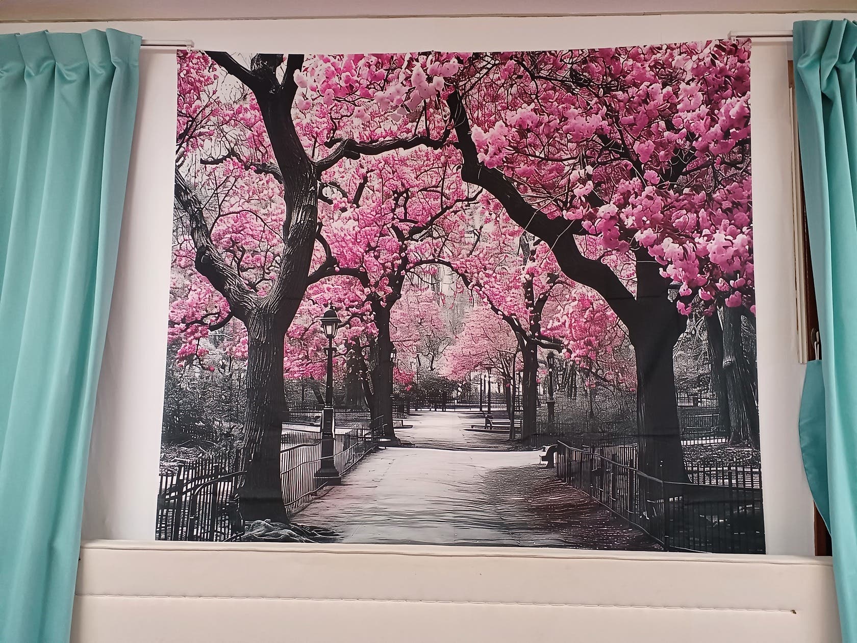 足立区☆葛飾区☆格闘技や運動、子供とママ会、撮影に!!全面80㎡、レスリングマット敷き！子ども用体育用具多数、無料貸出し!の写真11